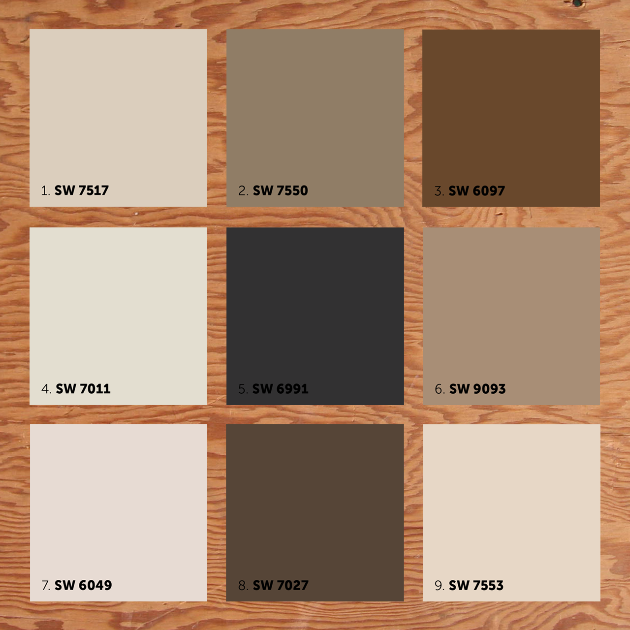 Color Poll | benjamin lundberg torres sánchez